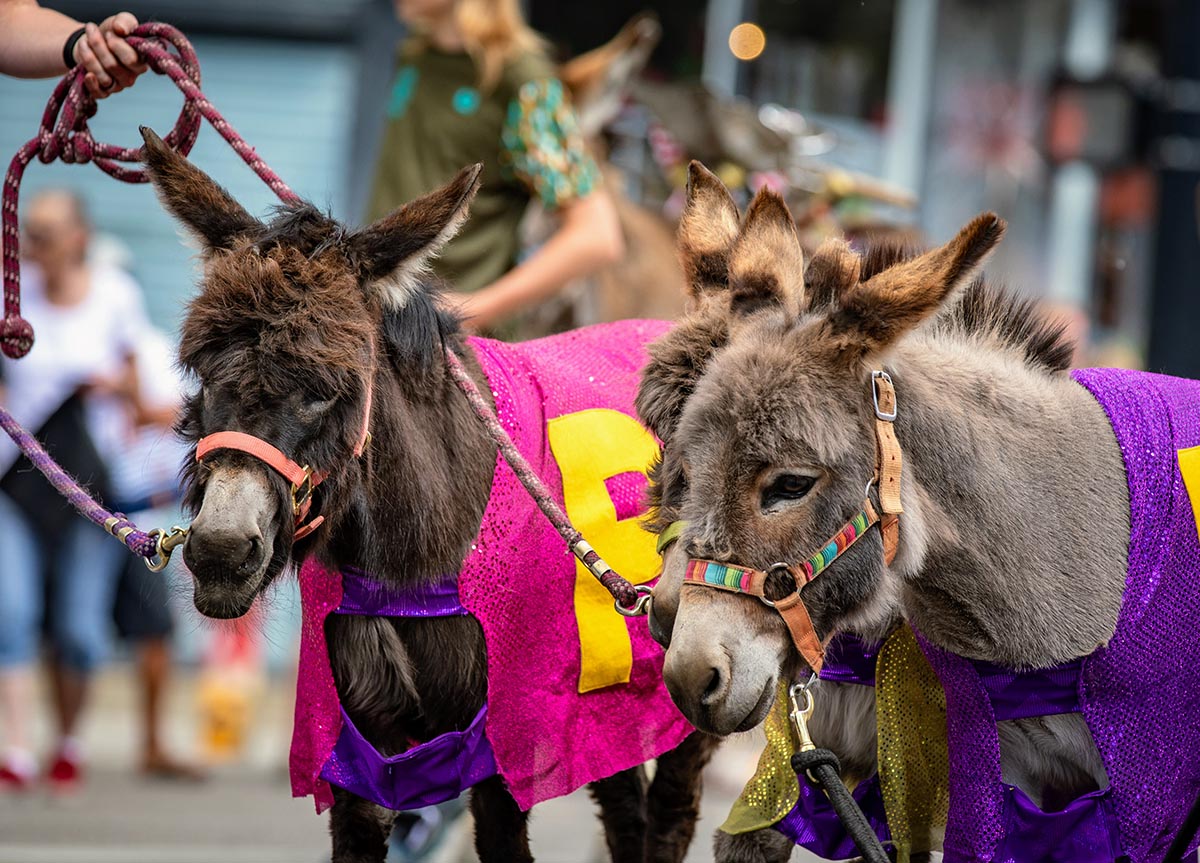 Happy Fourth, 2023! – Micronaxx